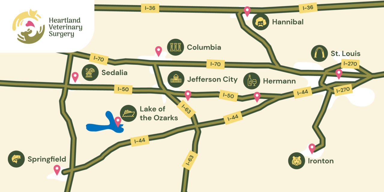 Columbia, MO Veterinary Services | Heartland Veterinary Surgery